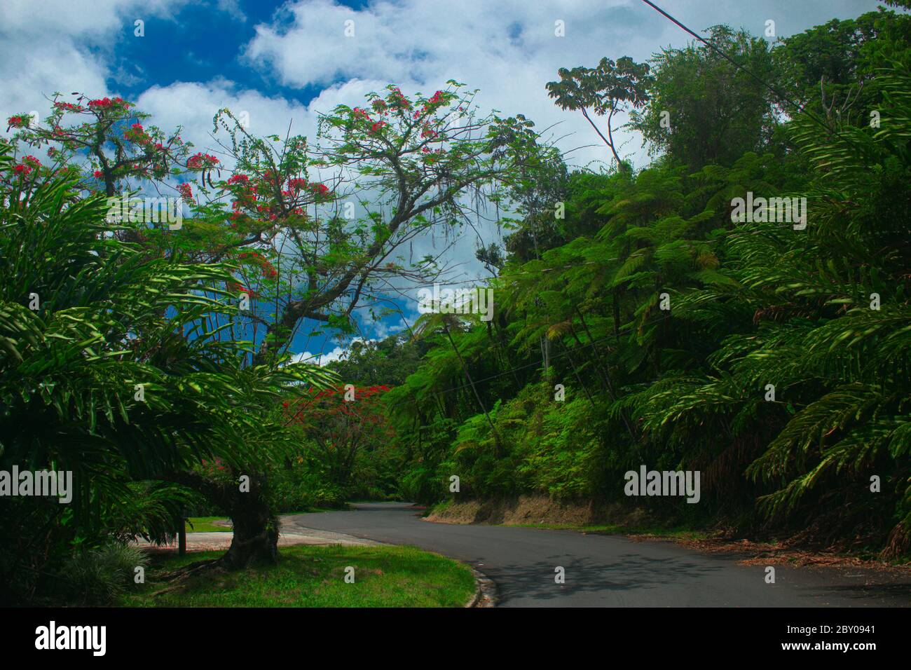 Beautiful Puerto Rico Stock Photo - Alamy