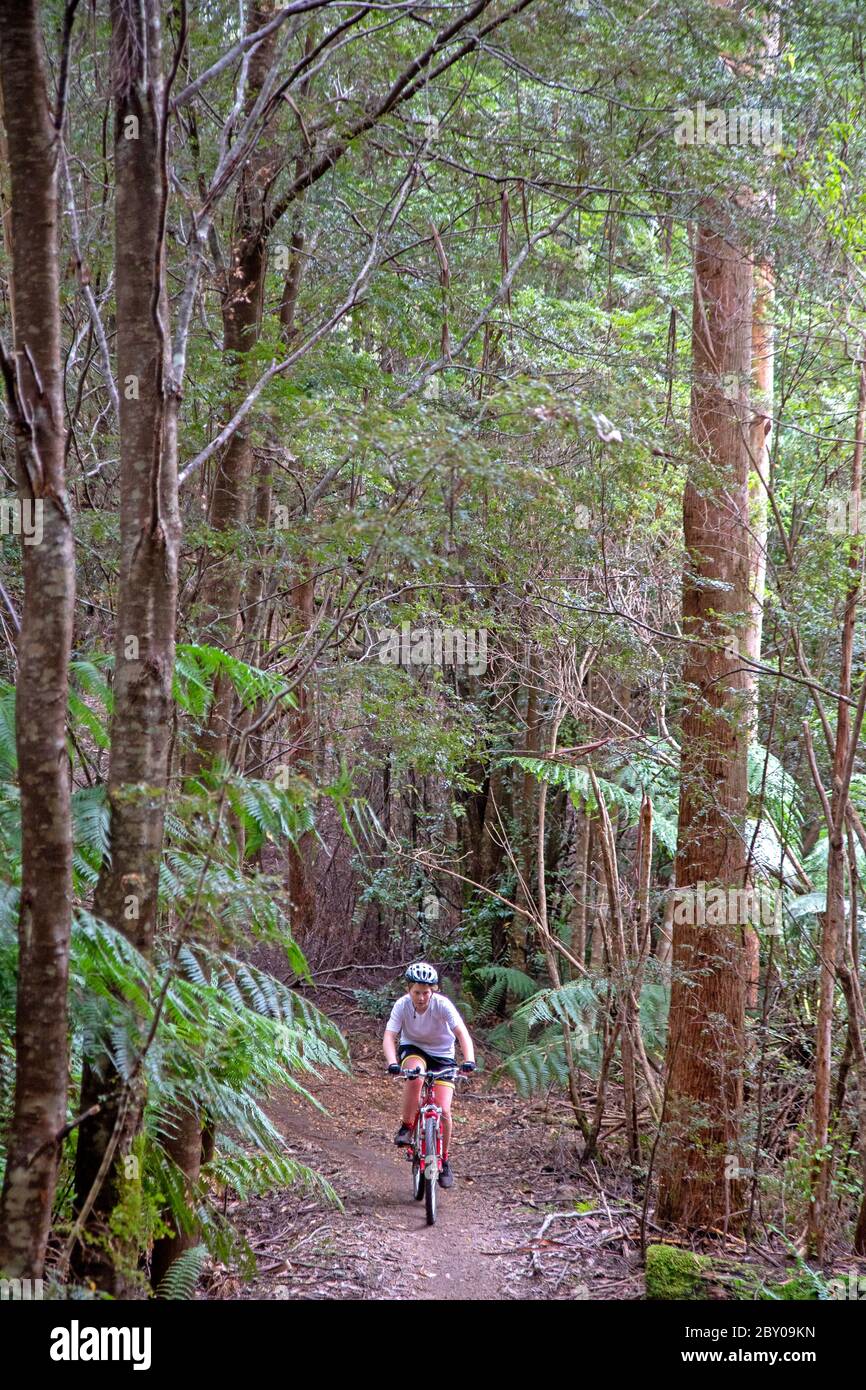 Blue derby mountain biking tasmania hi-res stock photography and images ...
