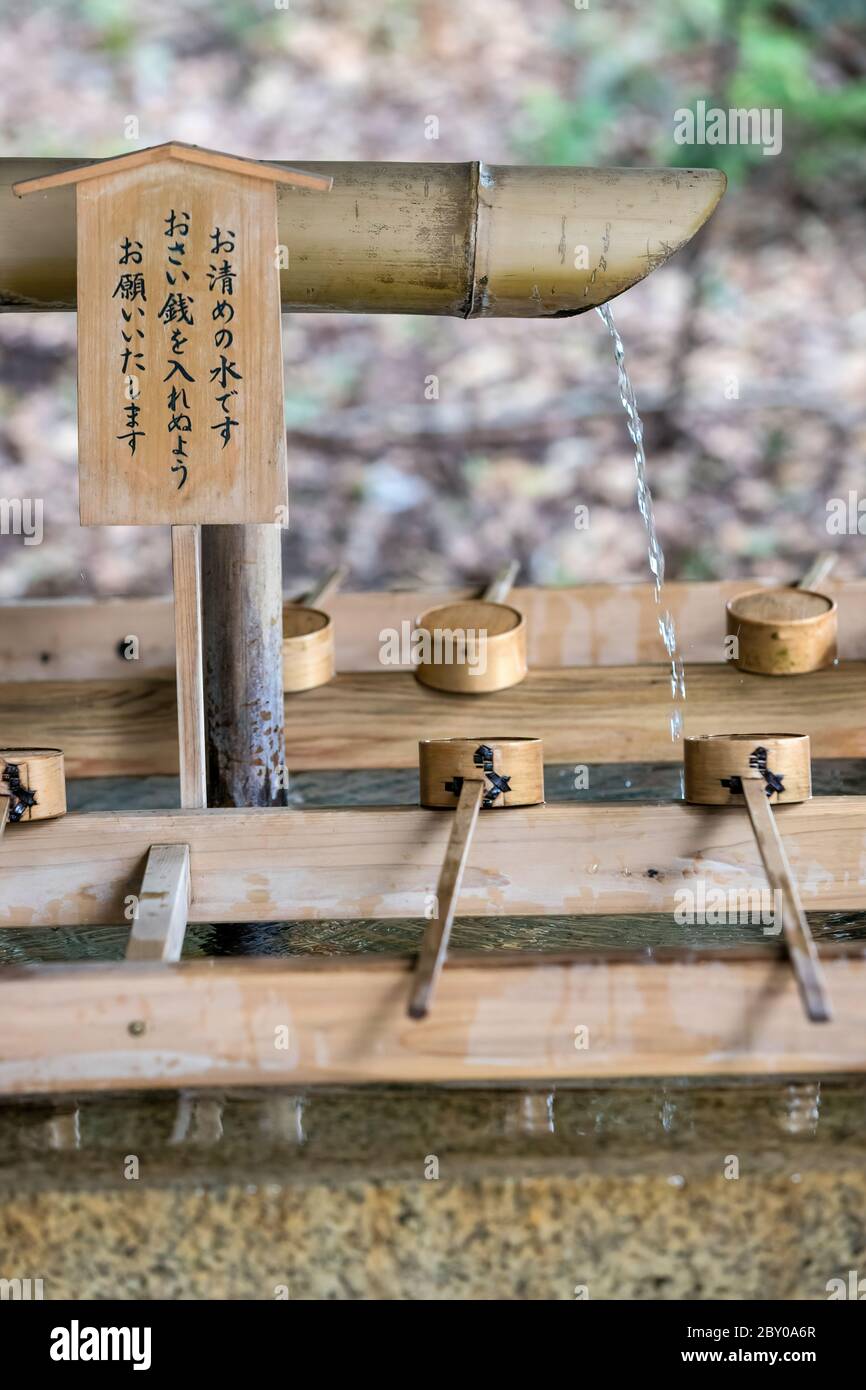 Shinto Purification Ceremony
