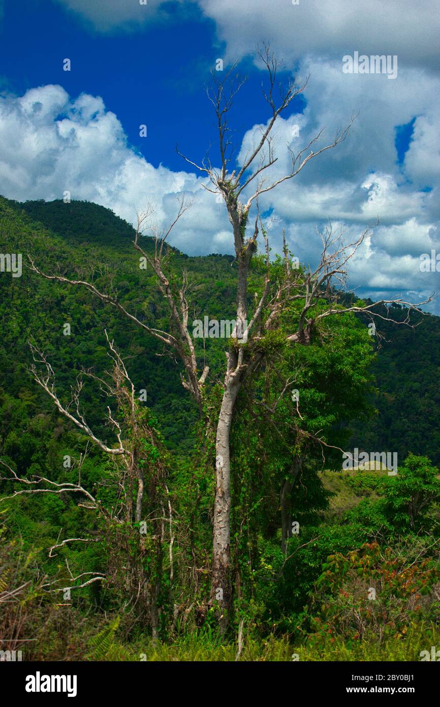 Beautiful Puerto Rico Stock Photo - Alamy