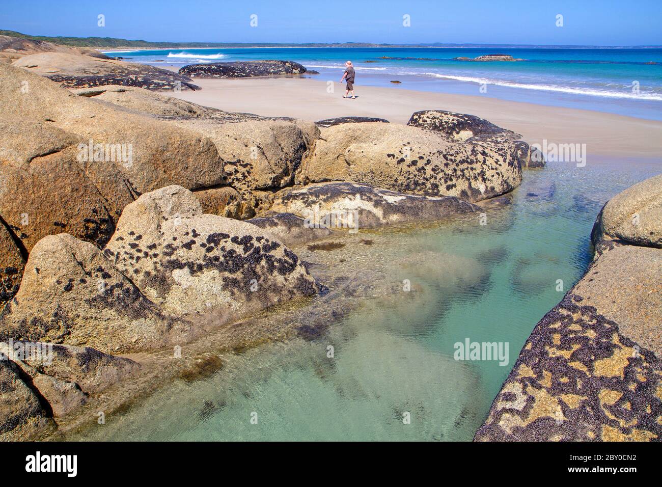 Beach on Three Hummock Island Stock Photo - Alamy