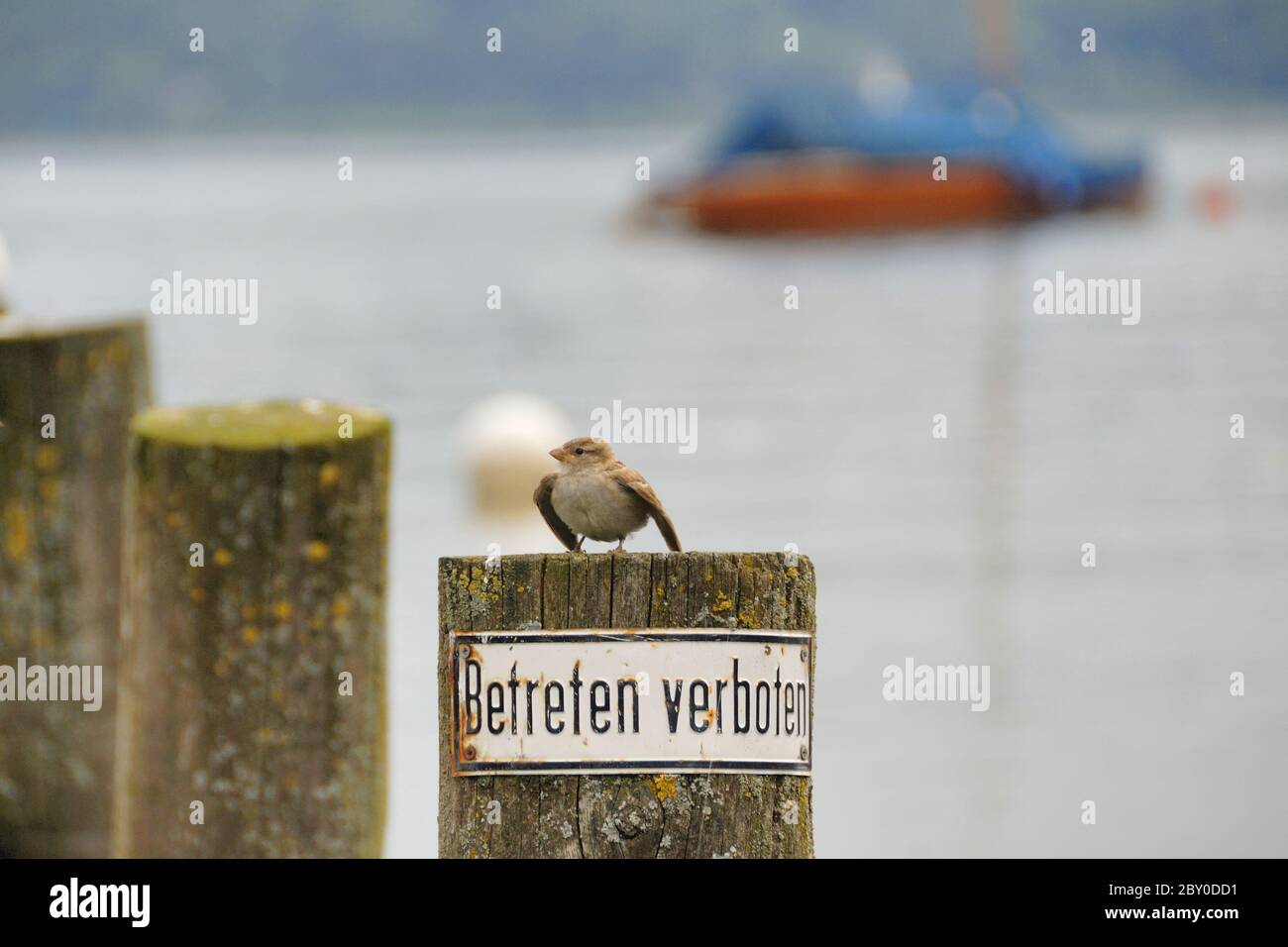Trespassing prohibited hi-res stock photography and images - Alamy