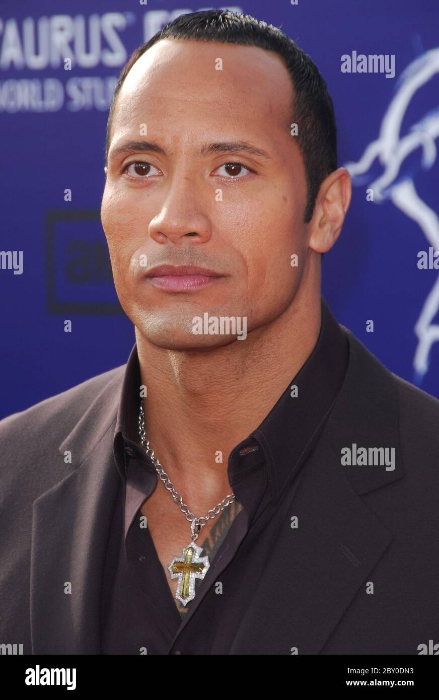 Dwayne Johnson Long Hair