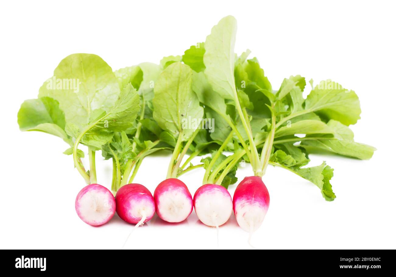 How to grow radishes Cut Out Stock Images & Pictures - Alamy