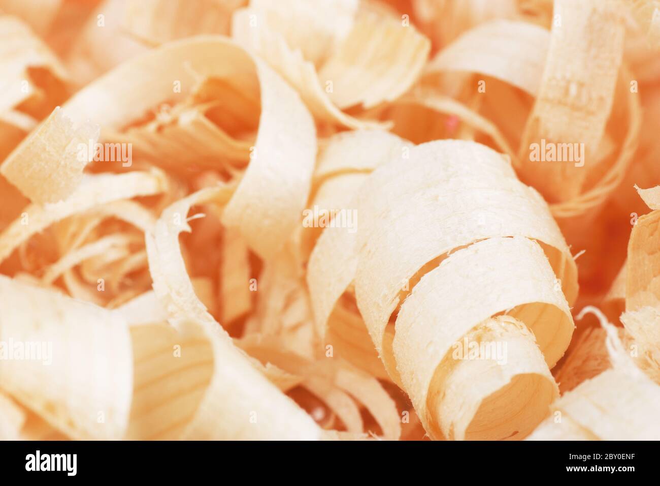 Softwood cuttings hi-res stock photography and images - Alamy