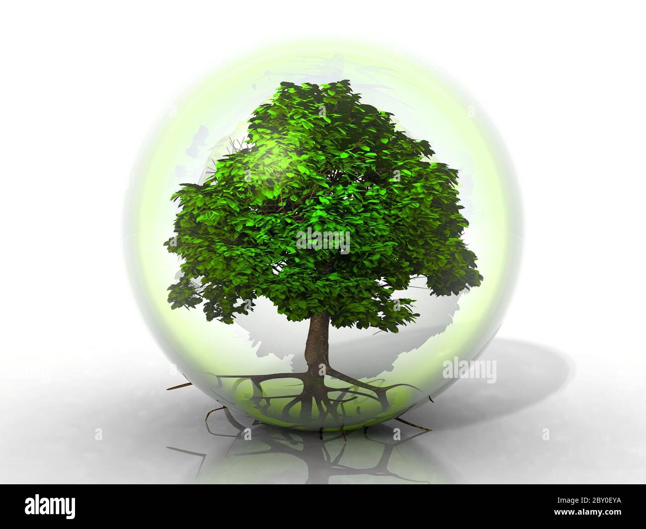 tree in bubble Stock Photo - Alamy
