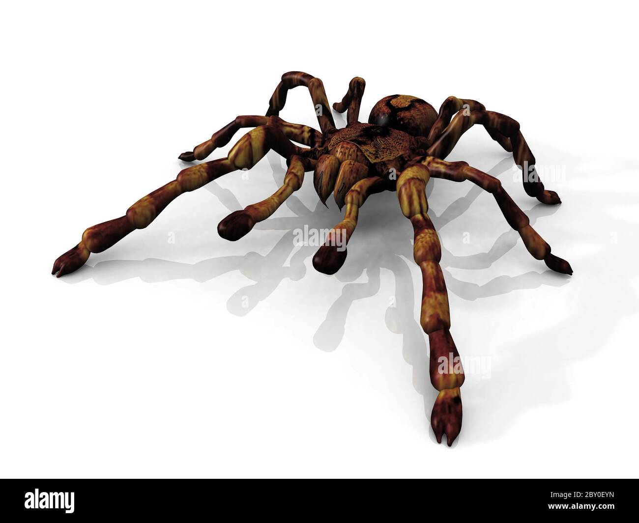 Illustration tarantula spider Cut Out Stock Images & Pictures - Alamy