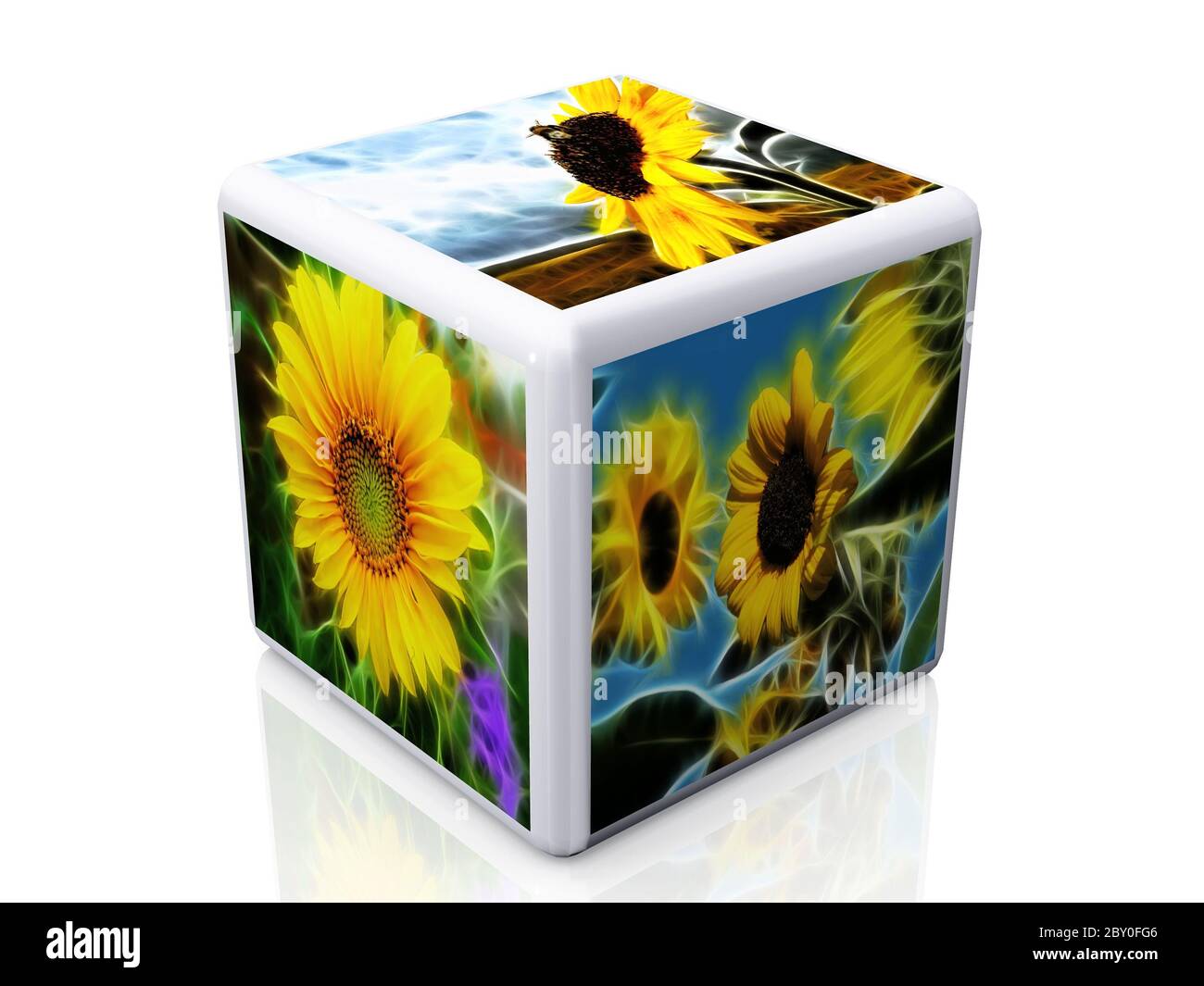 cube and flowers pictures Stock Photo - Alamy