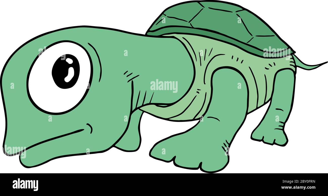 Funny turtle hi-res stock photography and images - Alamy