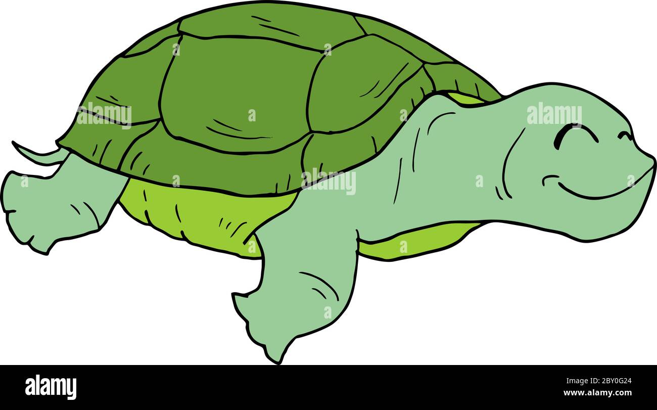 Funny turtle hi-res stock photography and images - Alamy