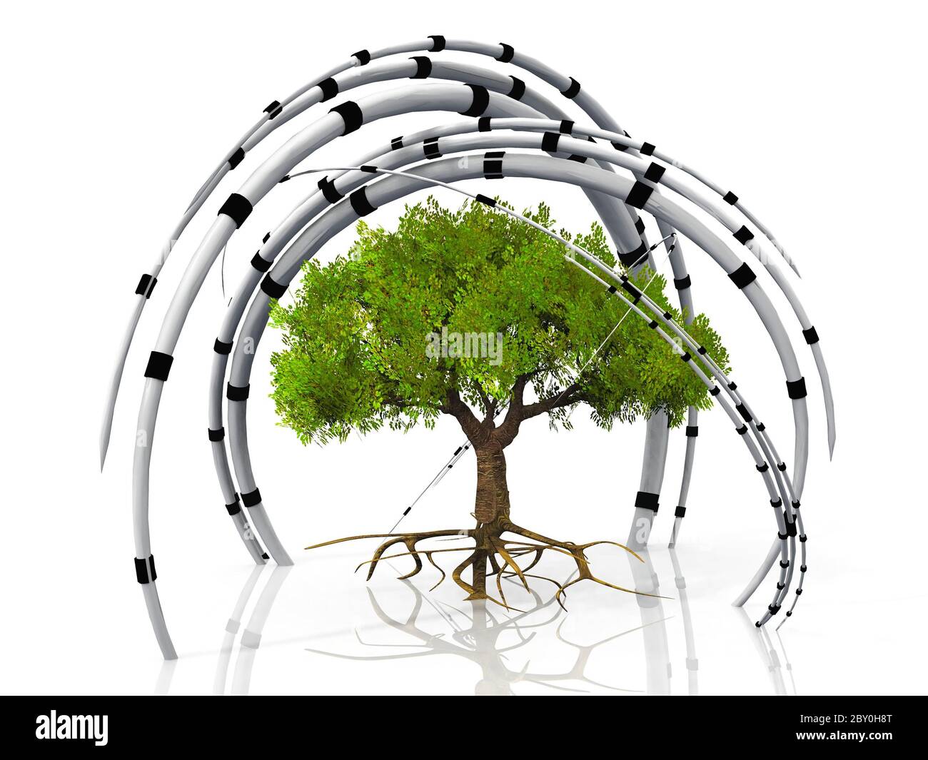 the green tree under arches Stock Photo - Alamy