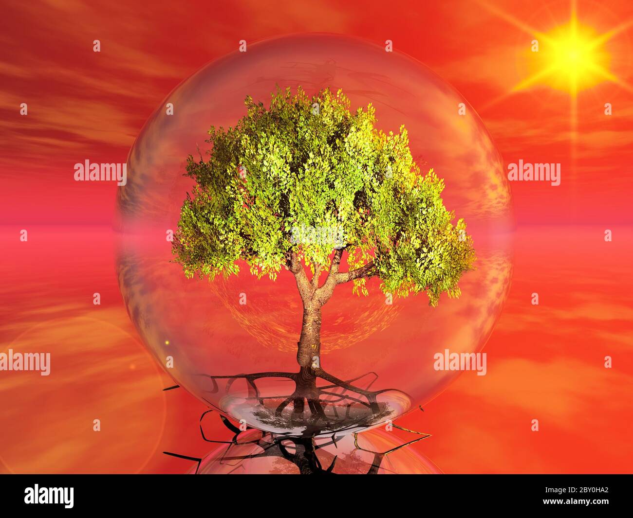 Tree shelter culture hi-res stock photography and images - Alamy