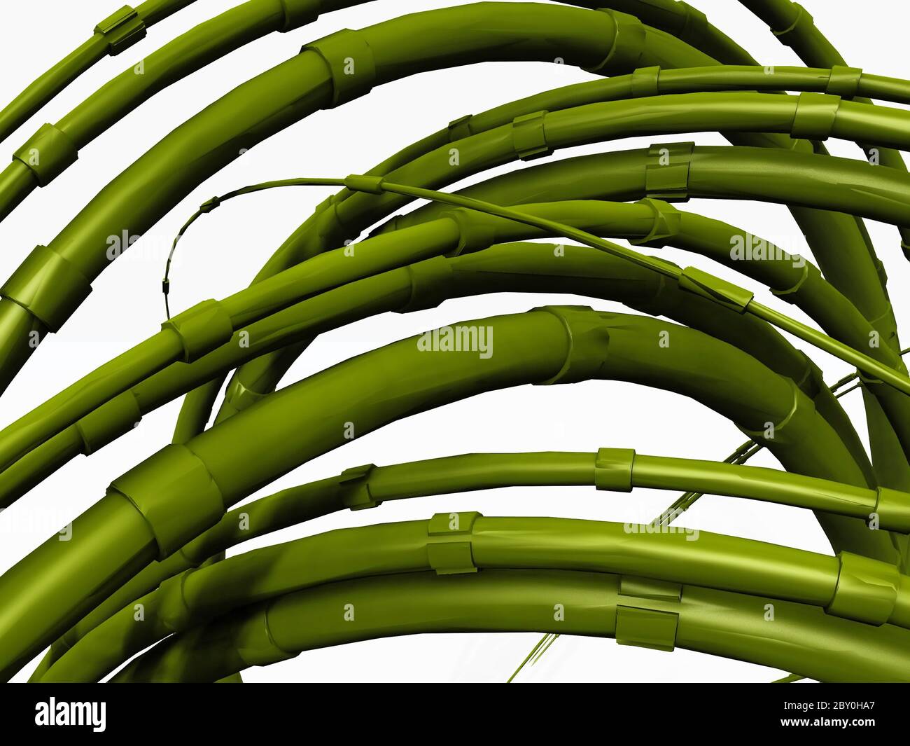 bamboo arches on a white background Stock Photo - Alamy