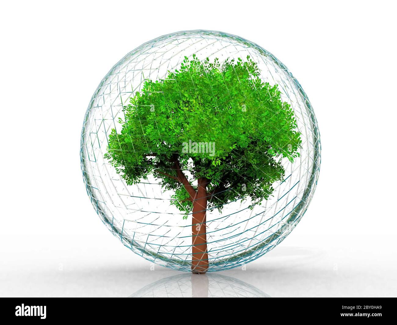 tree in a bubble Stock Photo - Alamy