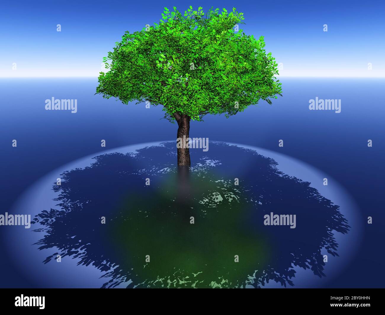 the green tree and its shadow Stock Photo - Alamy