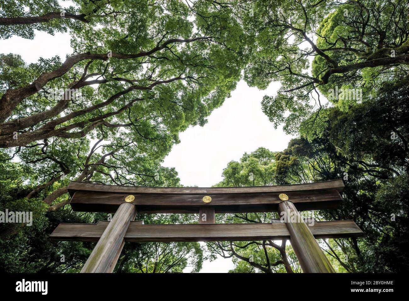 Looking up at a Tori gate at the entrance to the Meiji Shrine in Tokyo ...