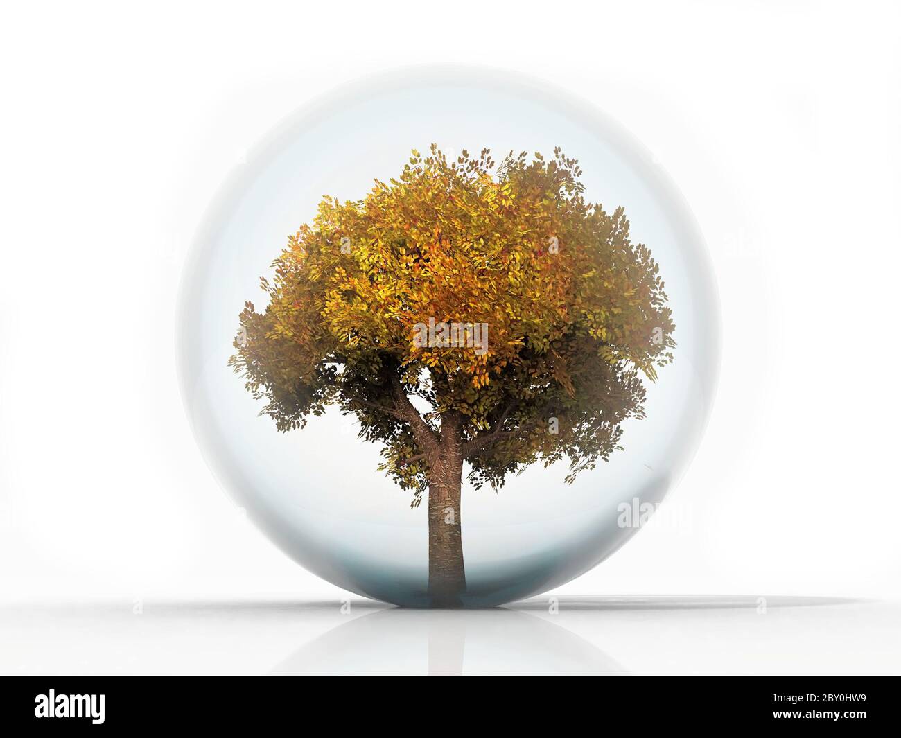 Autumn Tree in a bubble Stock Photo - Alamy