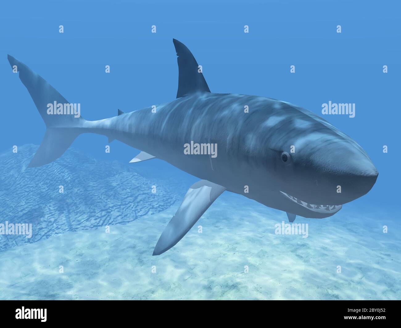 shark in the blue water Stock Photo - Alamy