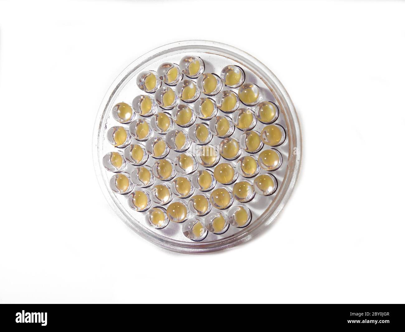 LED bulb on a white background Stock Photo - Alamy