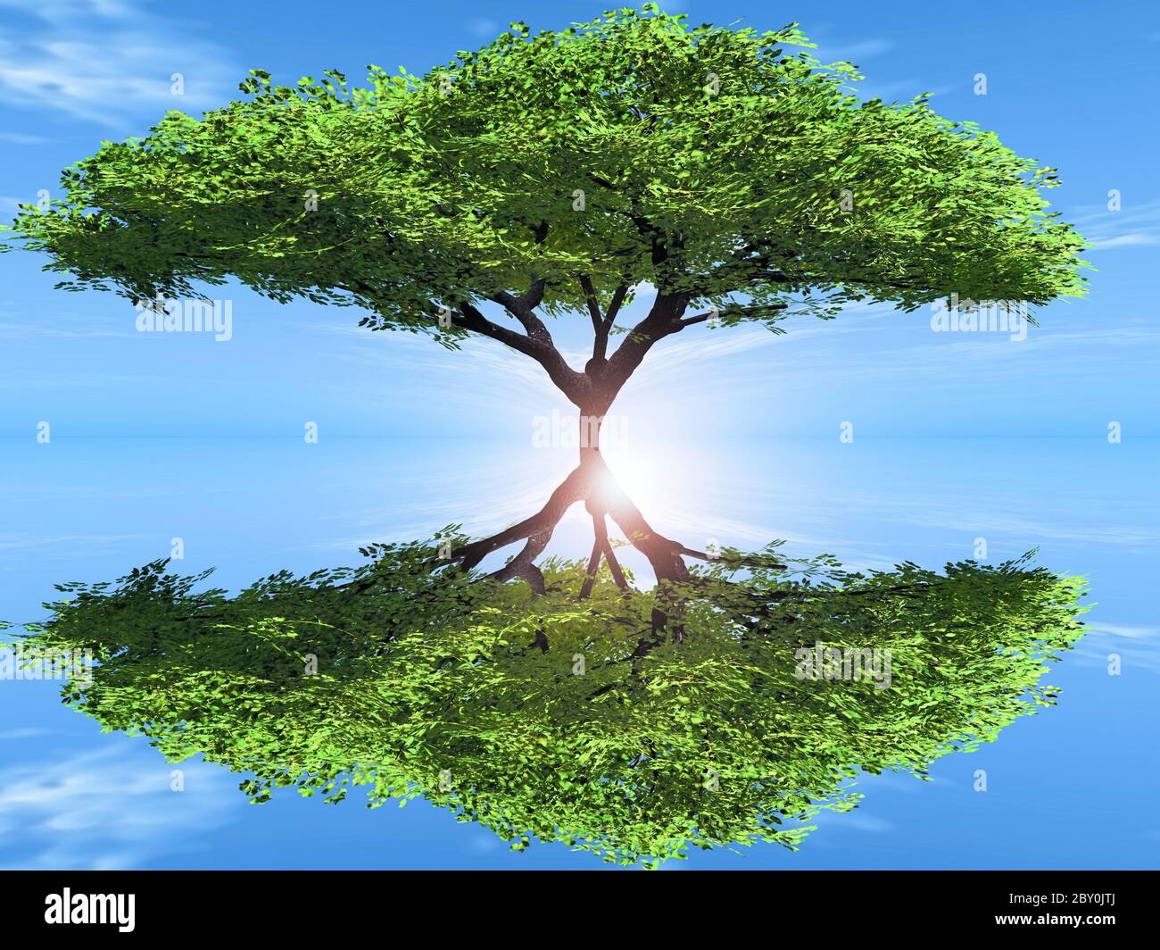 green tree and reflection Stock Photo - Alamy