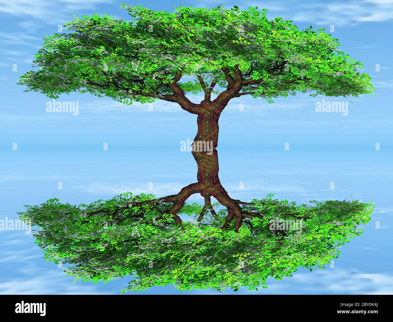 a green tree and reflection Stock Photo - Alamy