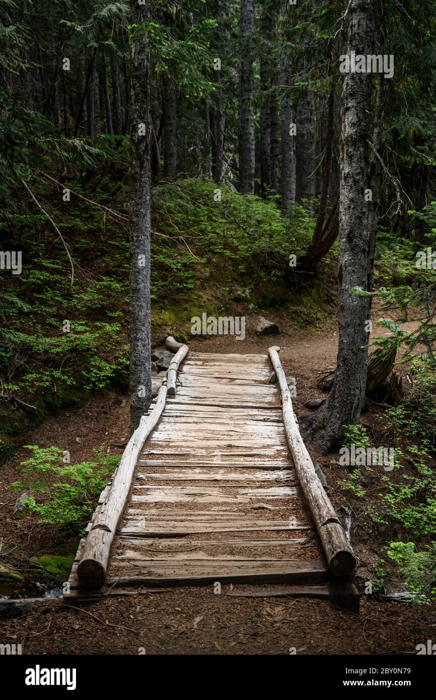 Bridge over ravine hi-res stock photography and images - Alamy