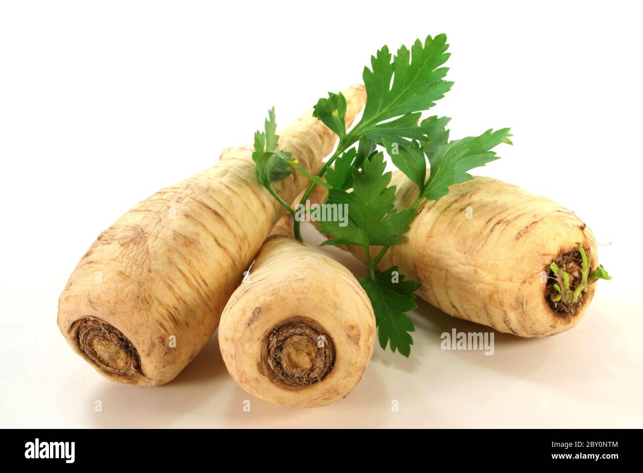 Parsley root soup hi-res stock photography and images - Alamy