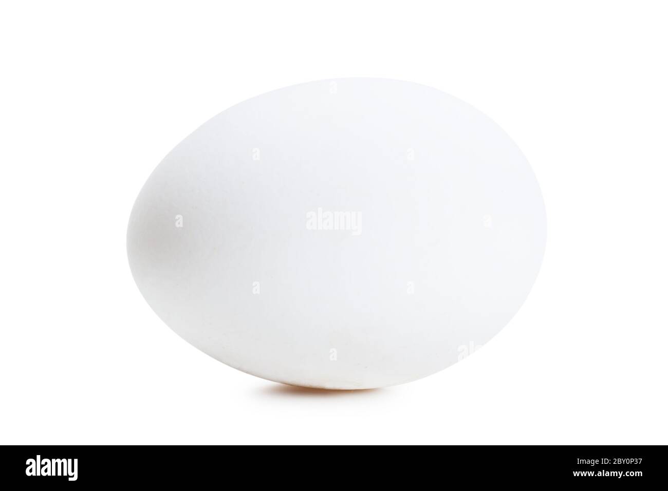 Chicken life cycle Cut Out Stock Images & Pictures - Alamy