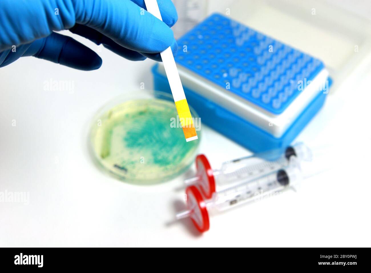 Genetics analysis hi-res stock photography and images - Alamy