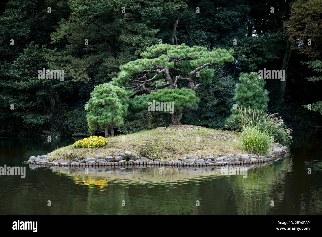 Small island in a lake at the Shinjuku Gyo-en, which is a large park ...