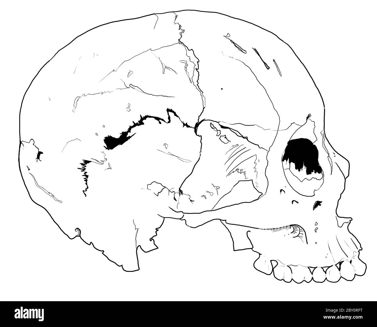 Hand drawn skull Stock Photo - Alamy