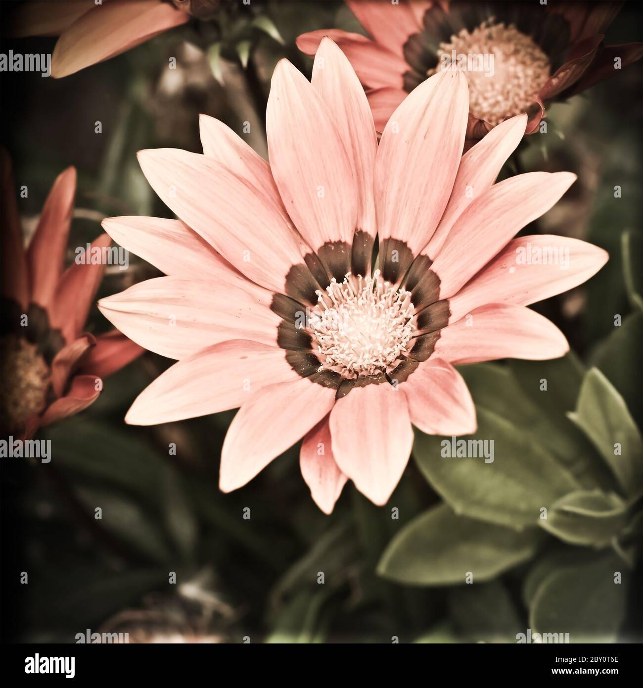 Noon color hi-res stock photography and images - Alamy