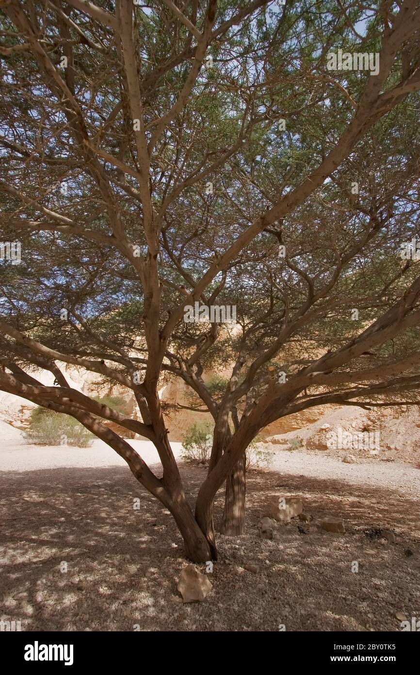 Dust shadow hi-res stock photography and images - Alamy