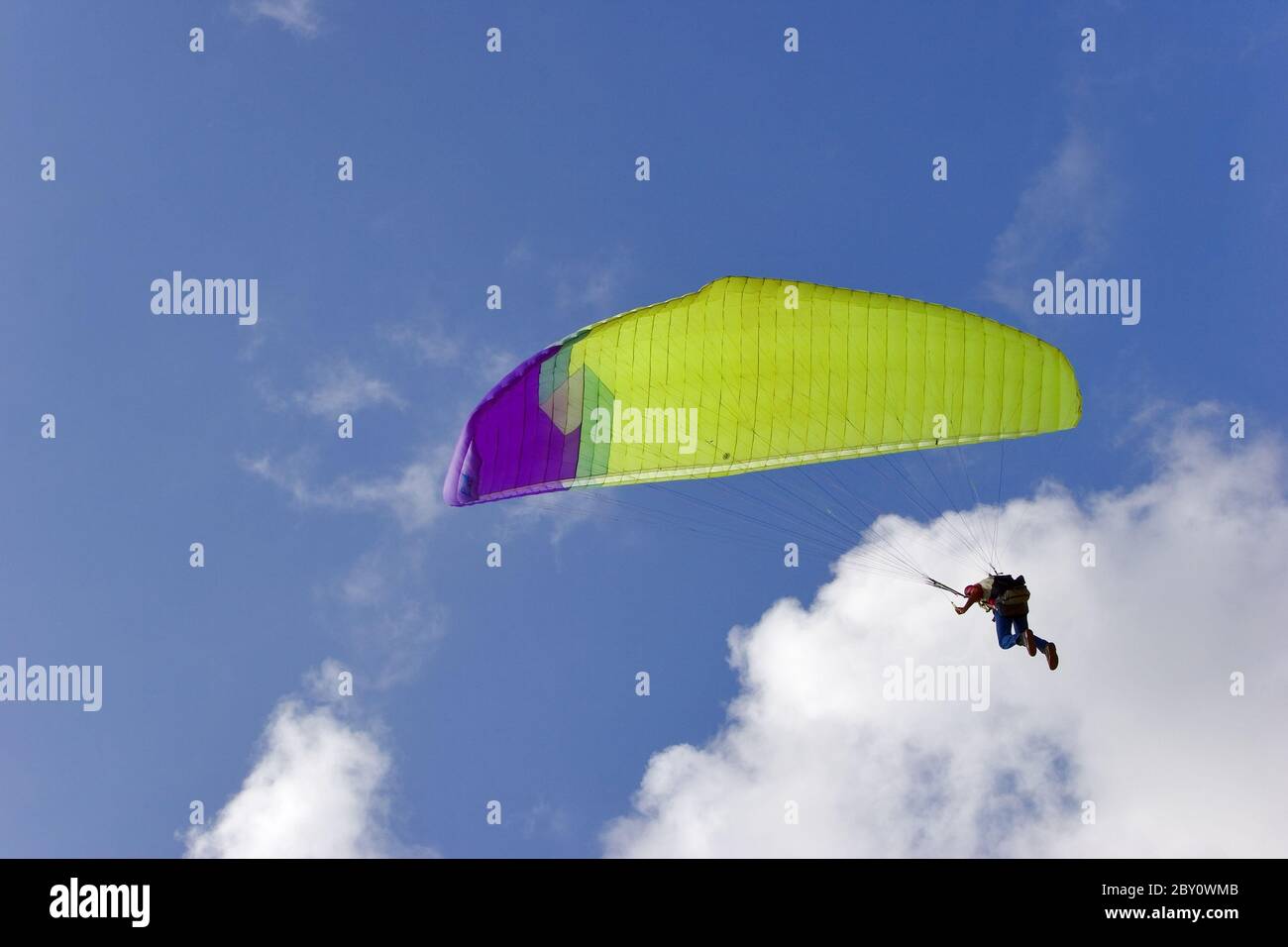 Parachute with birds hi-res stock photography and images - Alamy