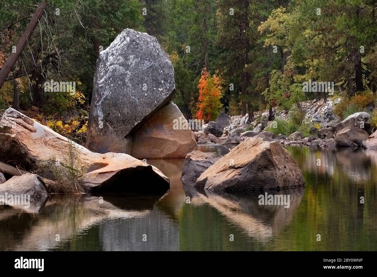 Nat bush hi-res stock photography and images - Alamy