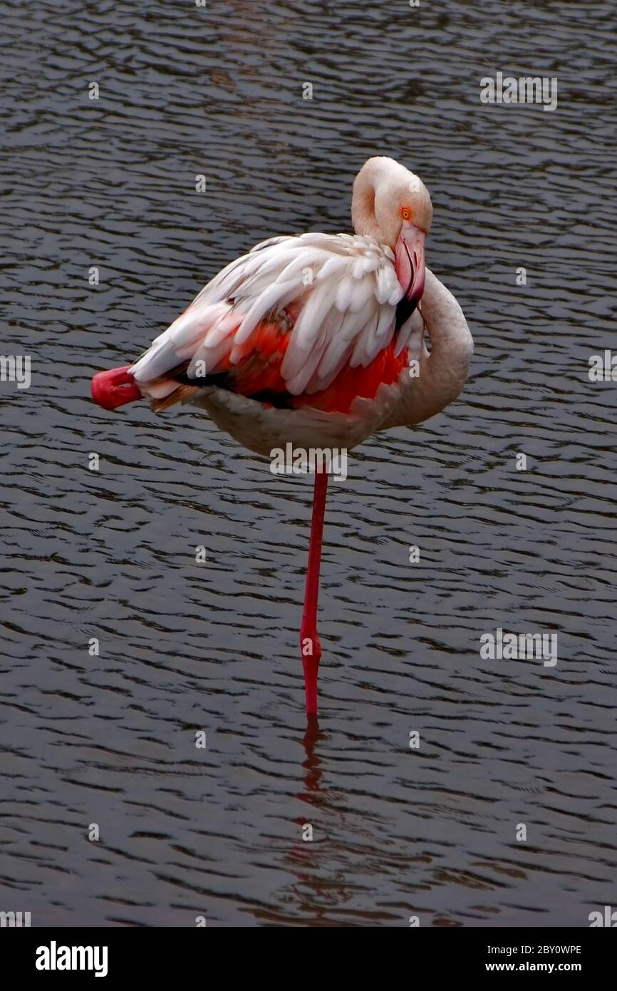 Time to rest Stock Photo - Alamy