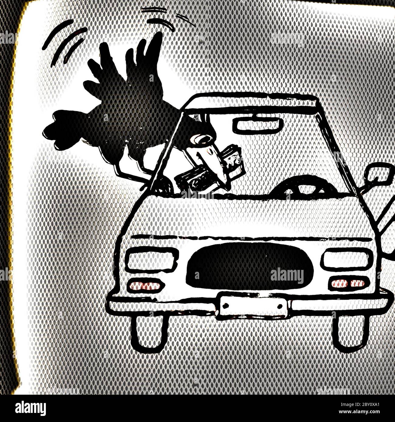 Thieving magpie black and white Stock Photo - Alamy