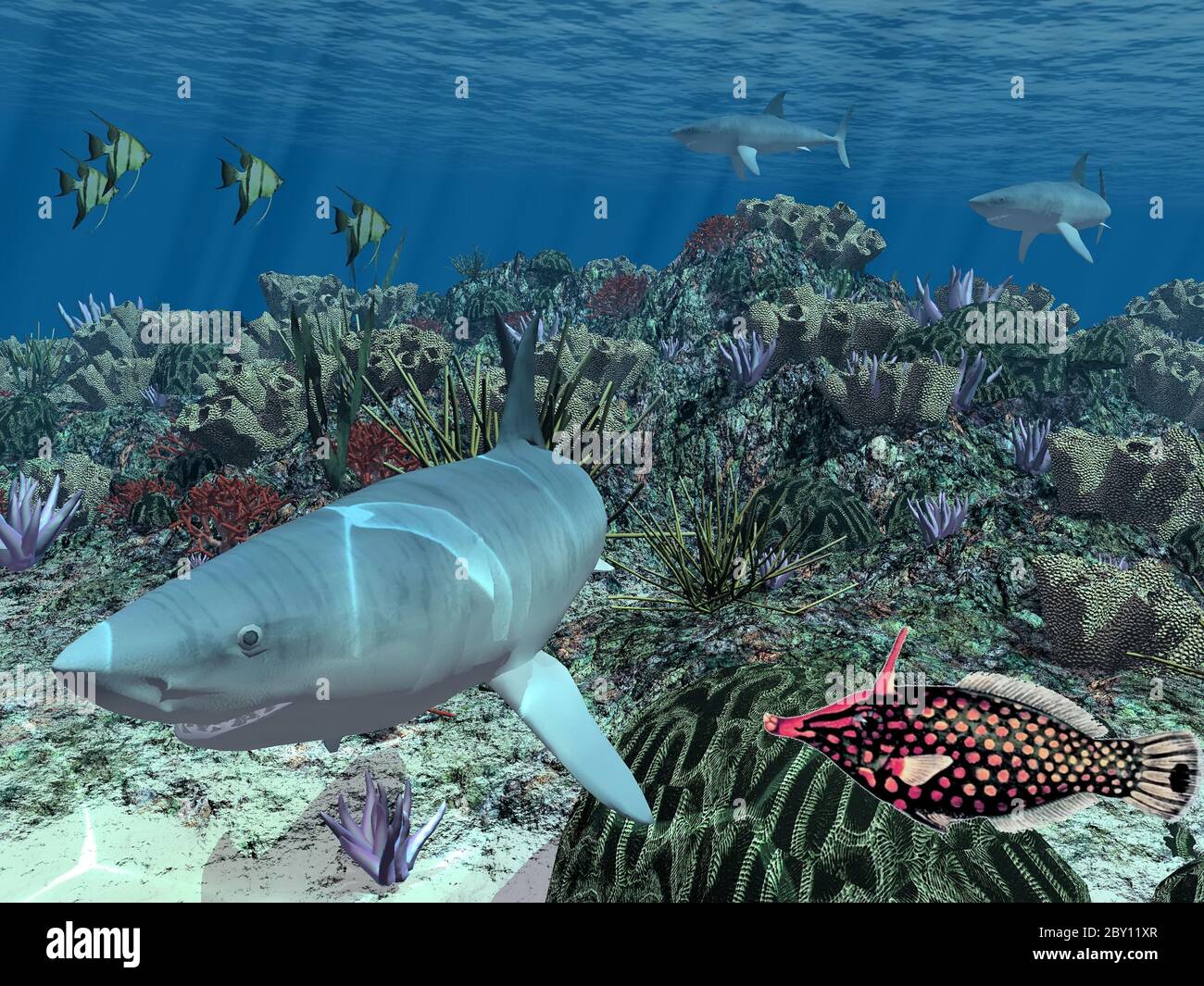 shark and fish at the bottom of the sea Stock Photo - Alamy