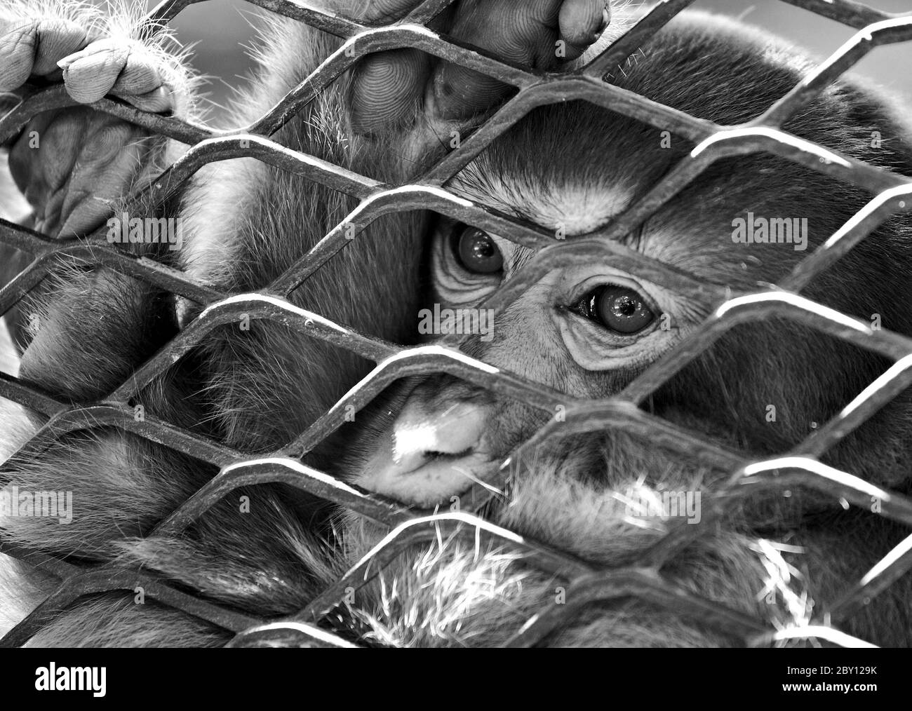 Away sad Black and White Stock Photos & Images - Alamy