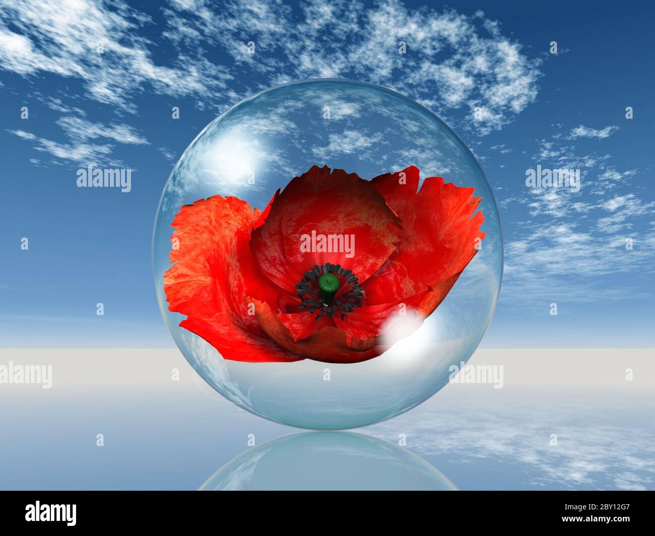 Poppy in a bubble and Sky Stock Photo - Alamy