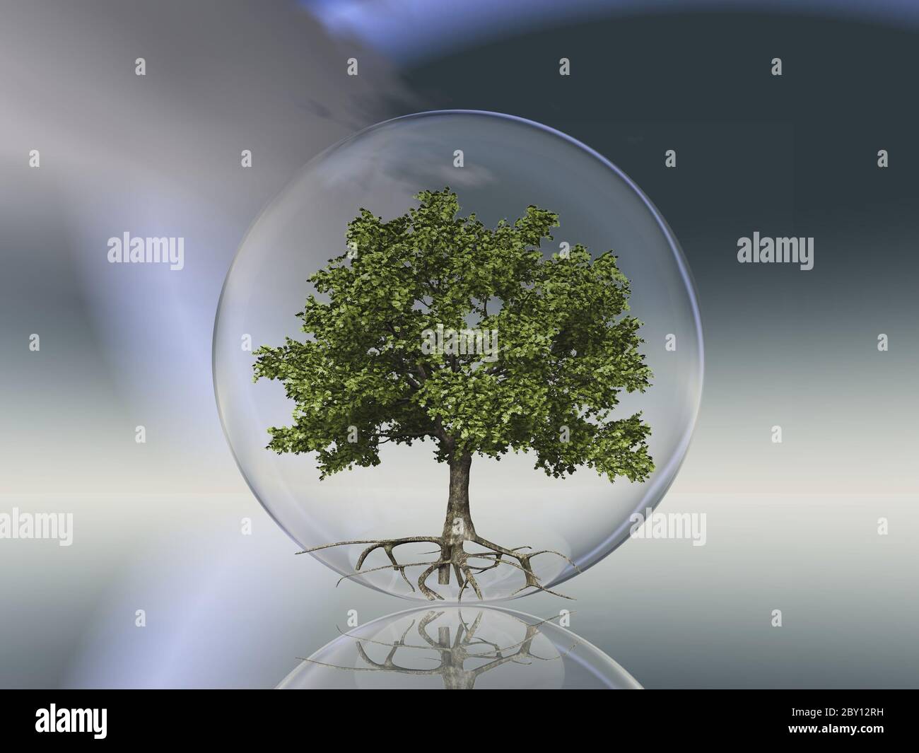 Green vegetable bubble hi-res stock photography and images - Alamy