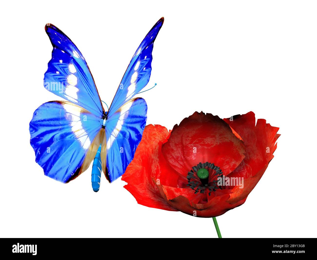 the butterfly and the poppy Stock Photo - Alamy