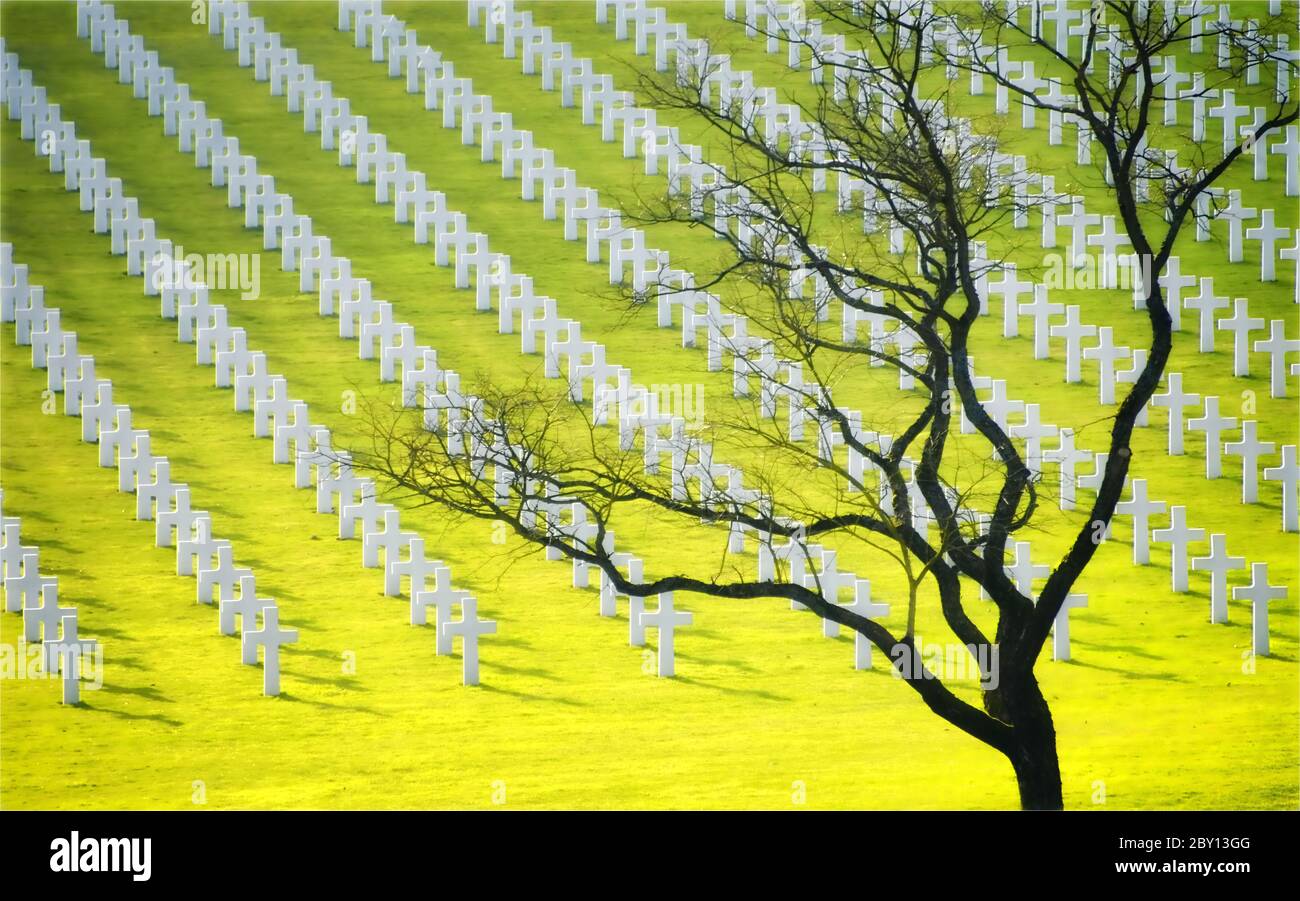 Military dead hi-res stock photography and images - Alamy