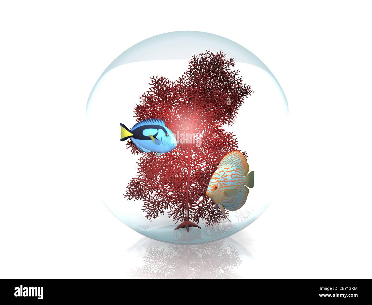Fish bubble hi-res stock photography and images - Alamy