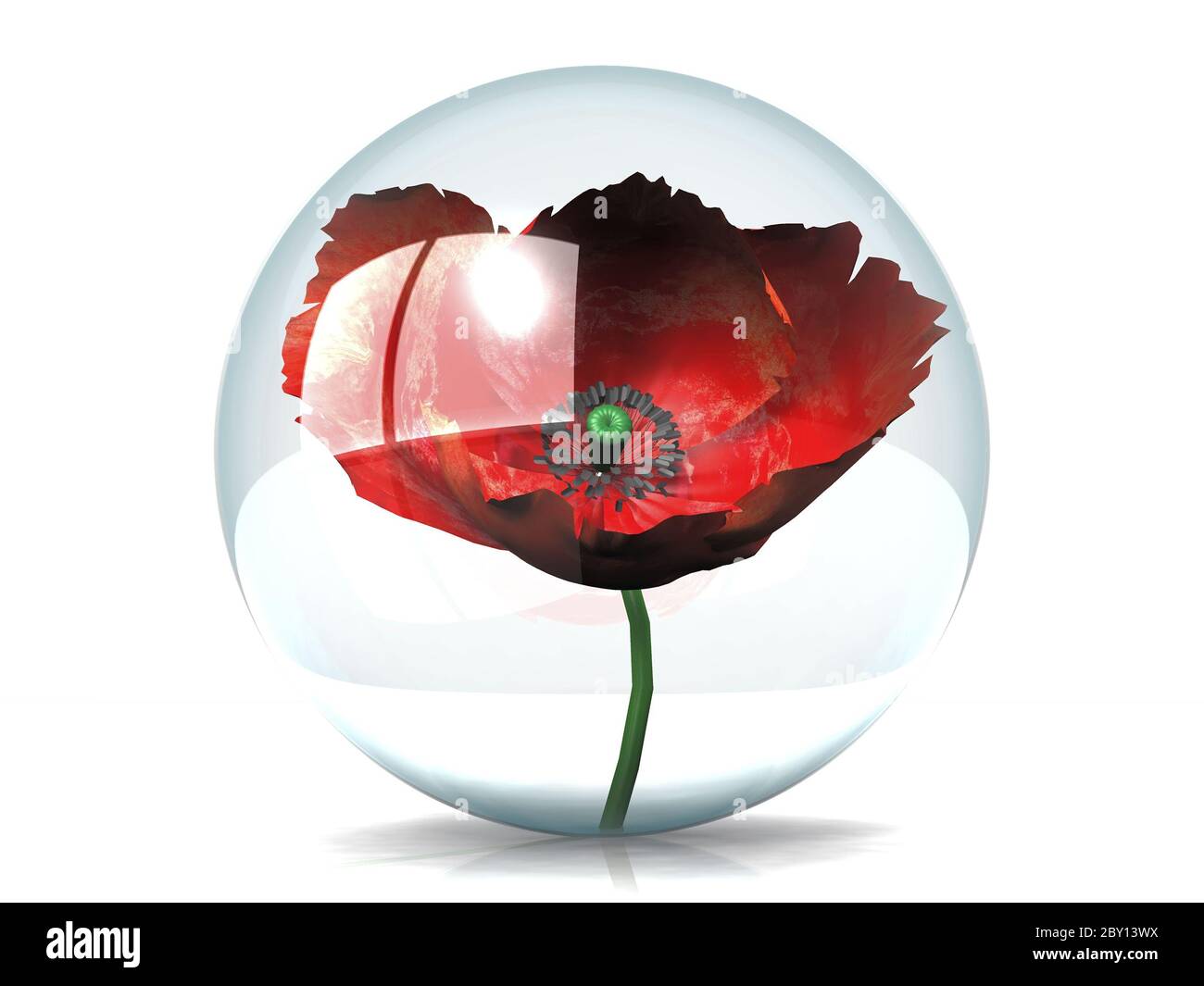 A poppy in a bubble Stock Photo - Alamy