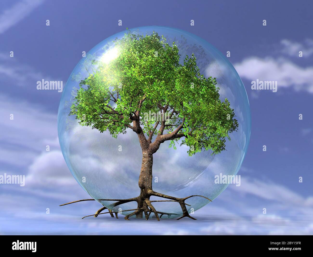 The tree in the bubble Stock Photo - Alamy