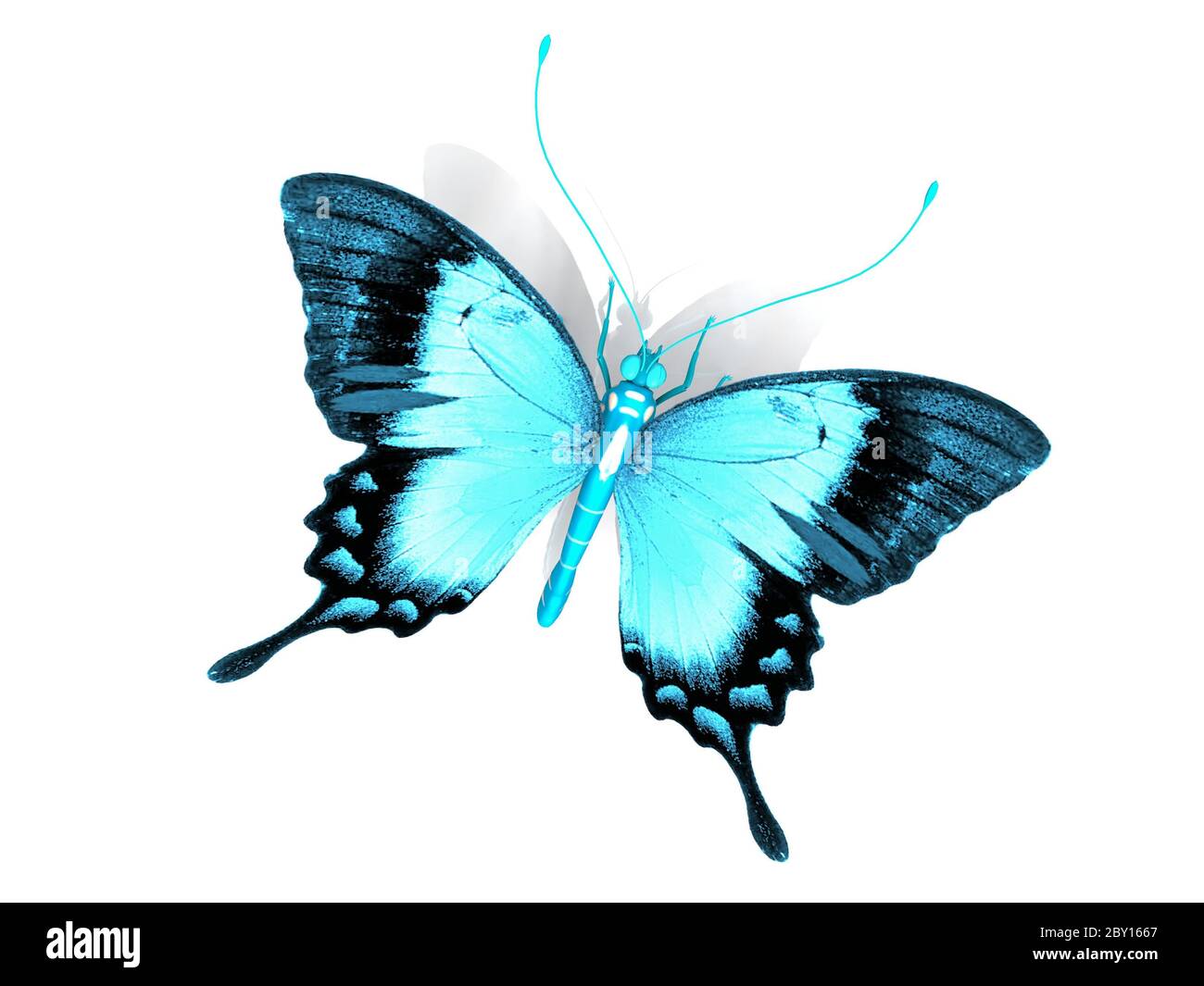 Butterfly chrysalis Cut Out Stock Images & Pictures - Alamy