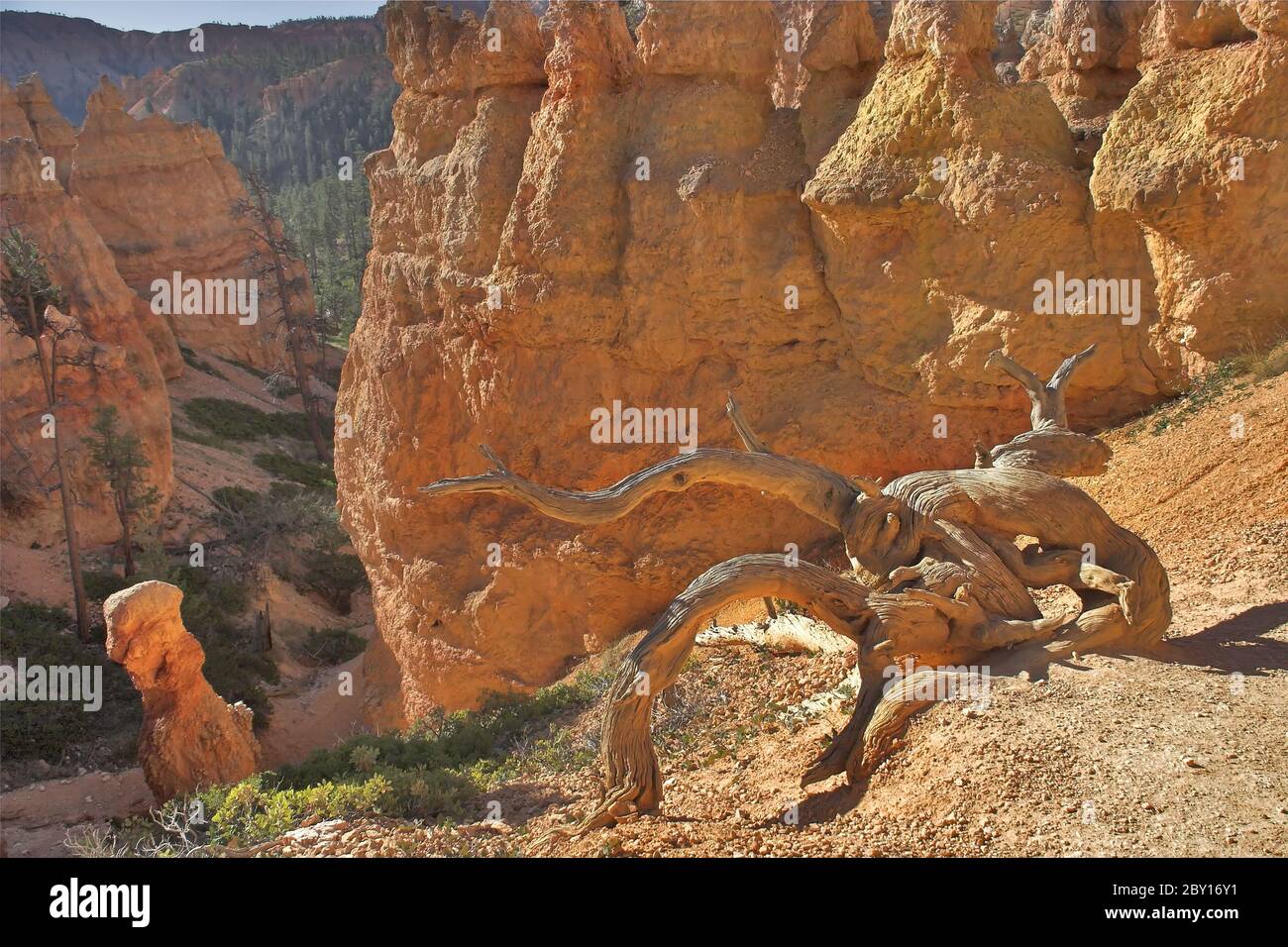 Labyrinth desert hi-res stock photography and images - Alamy