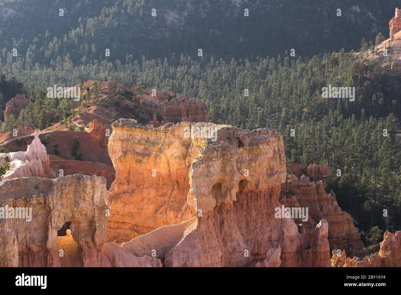 Unique platform hi-res stock photography and images - Alamy