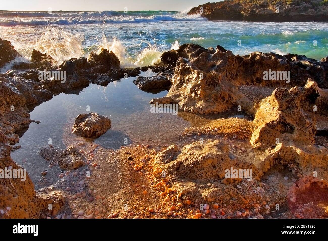 Tidal puddle hi-res stock photography and images - Alamy